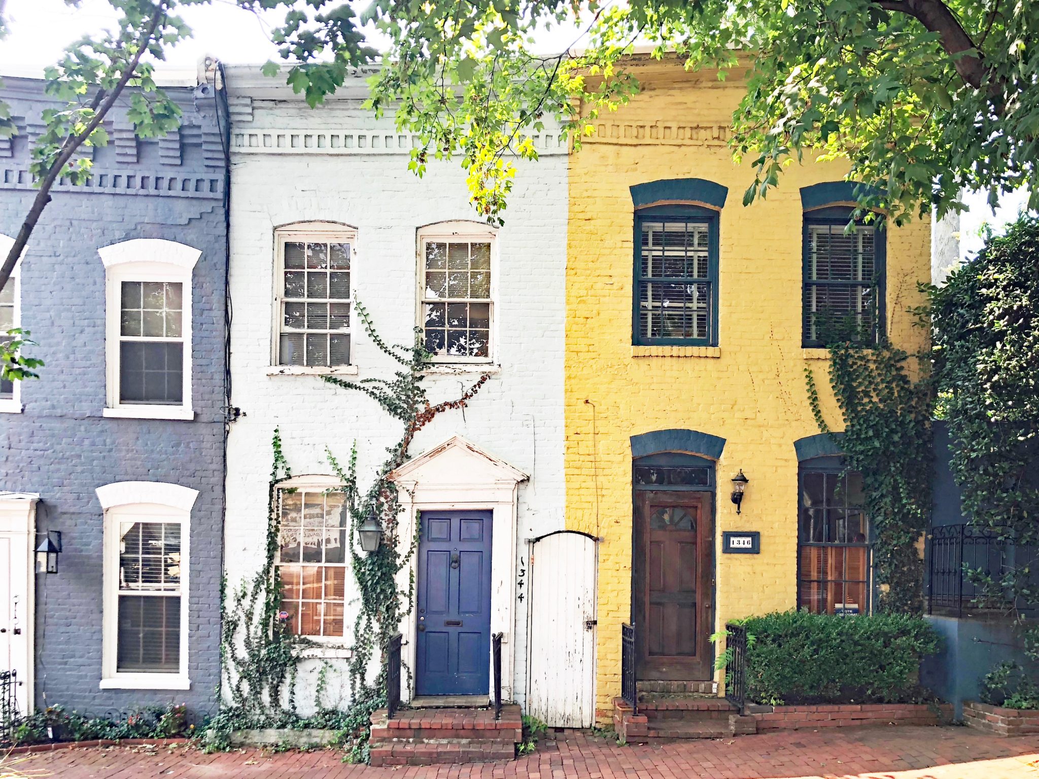 7 Special Things That Make Georgetown a Photographer’s Dream - The ...