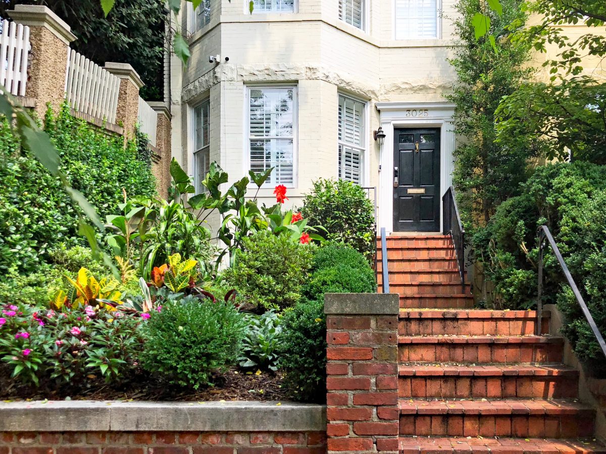 7 Special Things That Make Georgetown a Photographer’s Dream - The ...