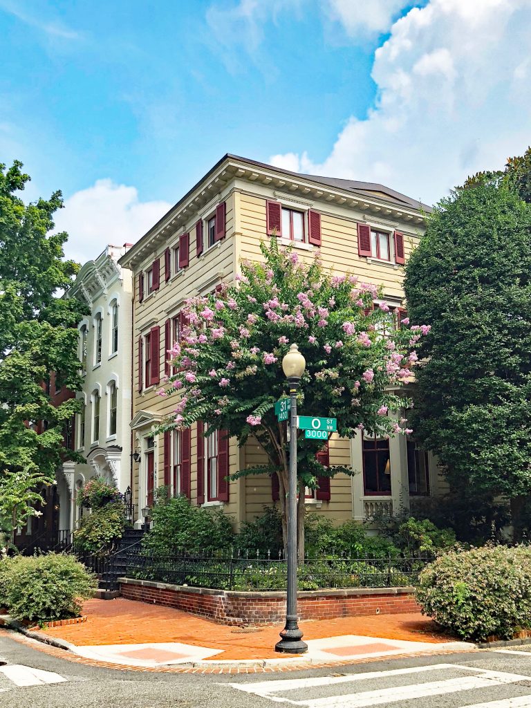 7 Special Things That Make Georgetown a Photographer’s Dream - The ...