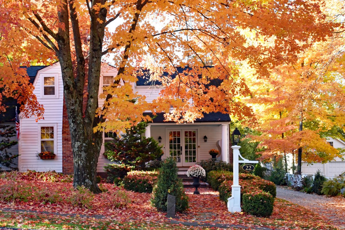 “So, What Ever Happened to Your Book?” - The Front Door Project